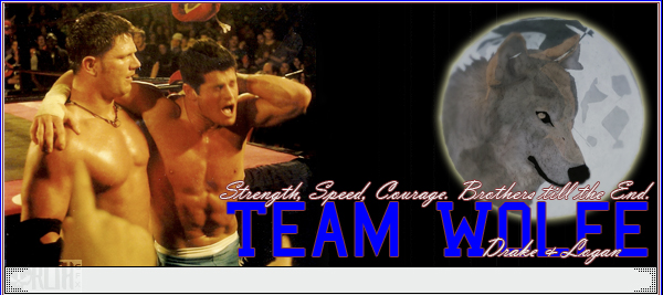 DRAKE WOLFE: A BITE AS HARD AS HIS ABS